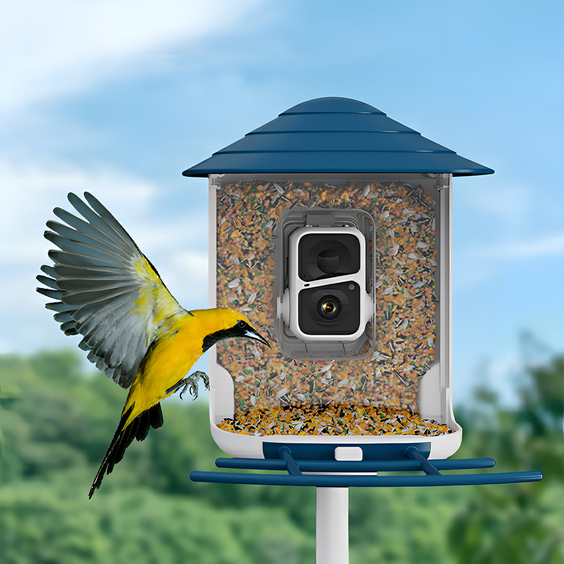 Dzees Camera – dzees-cam