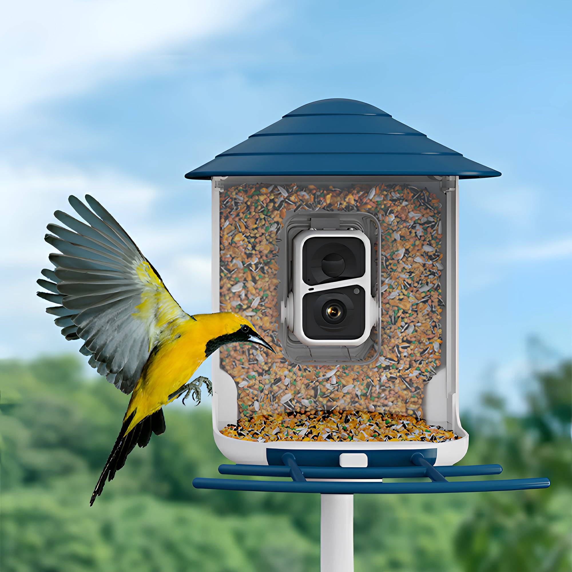 Dzees Camera – dzees-cam