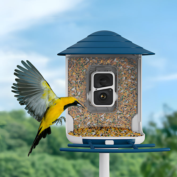 Dzees Camera – dzees-cam