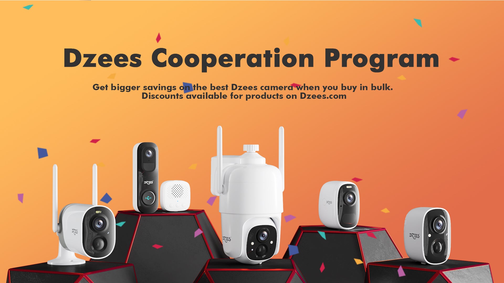 Dzees Camera Cooperation Program – dzees-cam