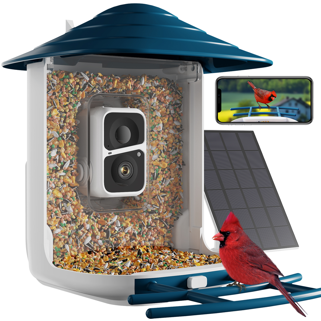 Smart Bird Feeder Camera - HD Bird Watching, AI Bird Identification, S ...